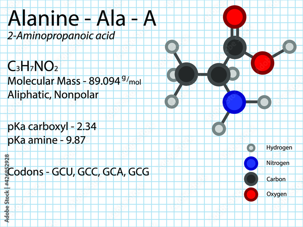 Alanine - Ala - A - Non Essential Amino Acid molecular formula ...
