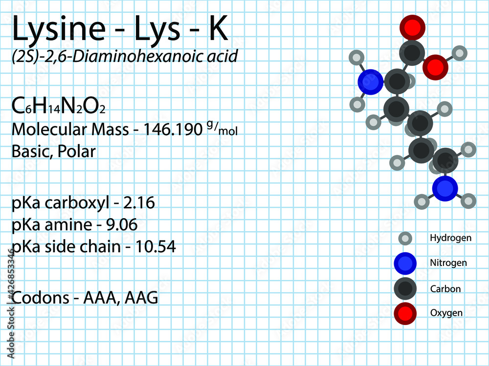 Lysine - Lys - K - Essential Amino Acid molecular formula, chemical ...