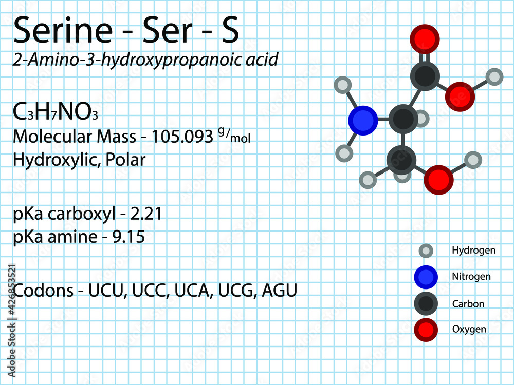 Serine - Ser - S - Non Essential Amino Acid molecular formula, chemical ...