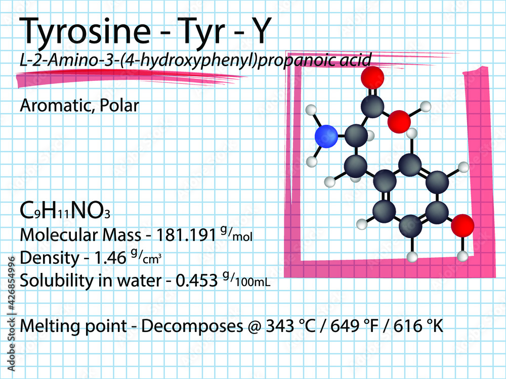 Tyrosine - Tyr - Y - Non Essential Amino Acid molecular formula ...