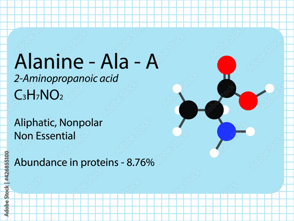 Alanine - Ala - A - Non Essential Amino Acid molecular formula ...