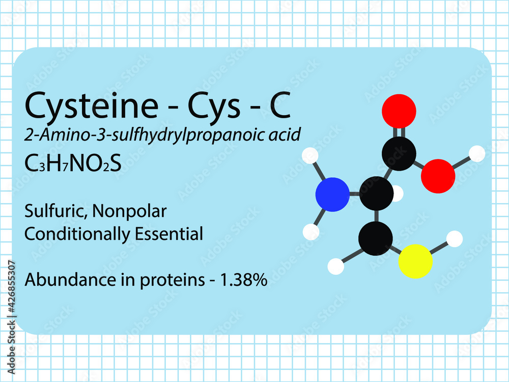 Cysteine - Cys - C - Conditionally Essential Amino Acid molecular ...