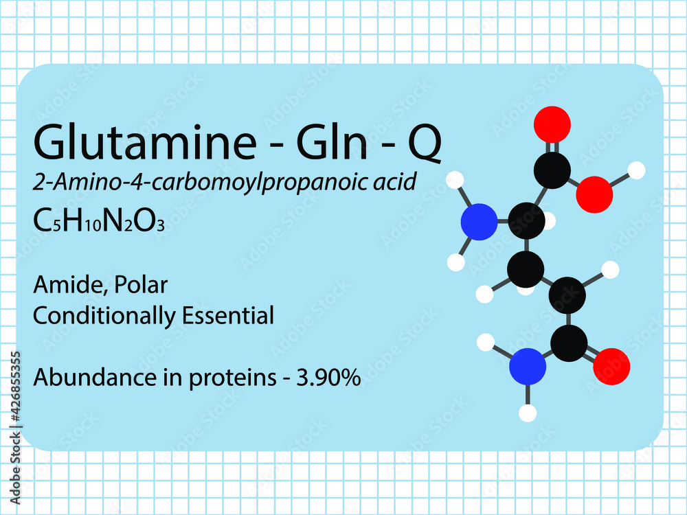 Glutamine - Gln - Q - Conditionally Essential Amino Acid molecular ...