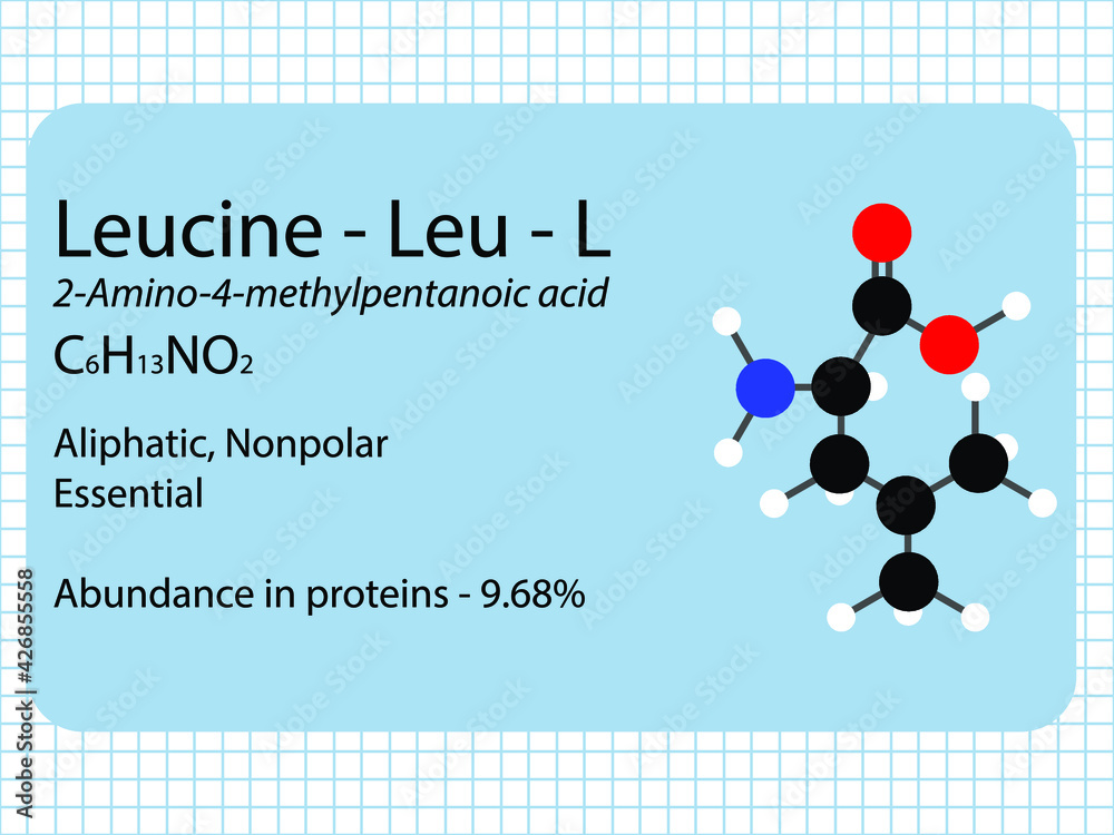 Leucine - Leu - L - Essential Amino Acid molecular formula, chemical ...