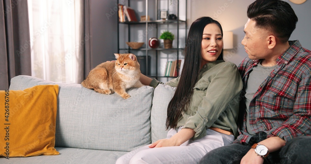 Portrait of happy cheerful young Asian couple wife and husband sitting on couch in room at home ...