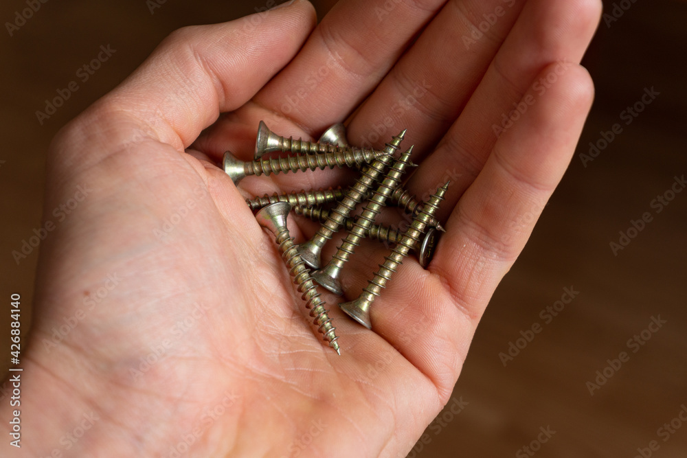 carpenter man hand holding a handful of screws Stock Photo | Adobe Stock