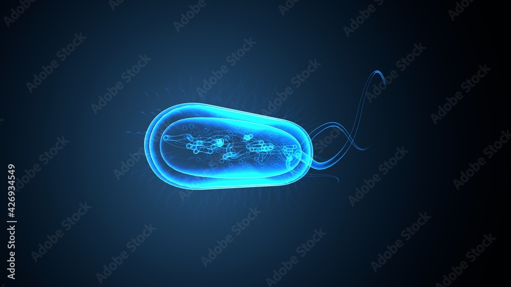 3D illustration of E coli Bacteria Shapes Anatomy. Stock Illustration ...