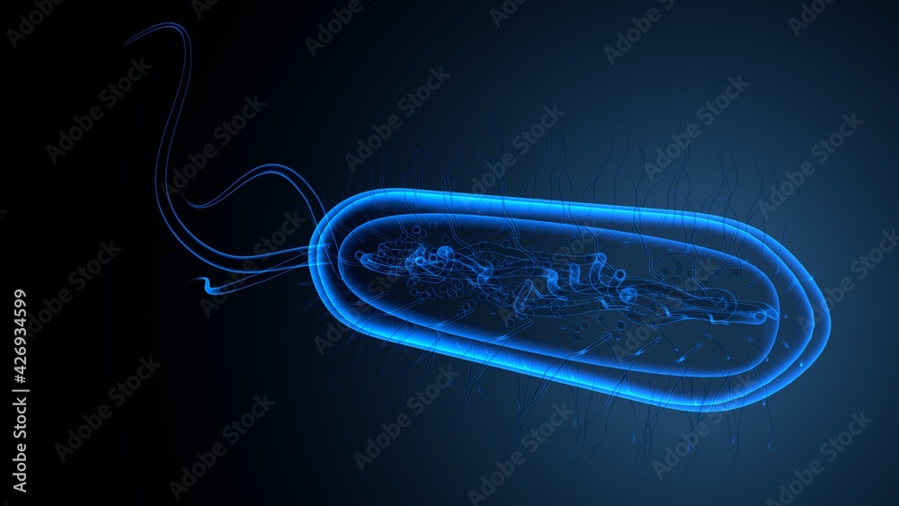 3D illustration of E coli Bacteria Shapes Anatomy. Stock Illustration ...