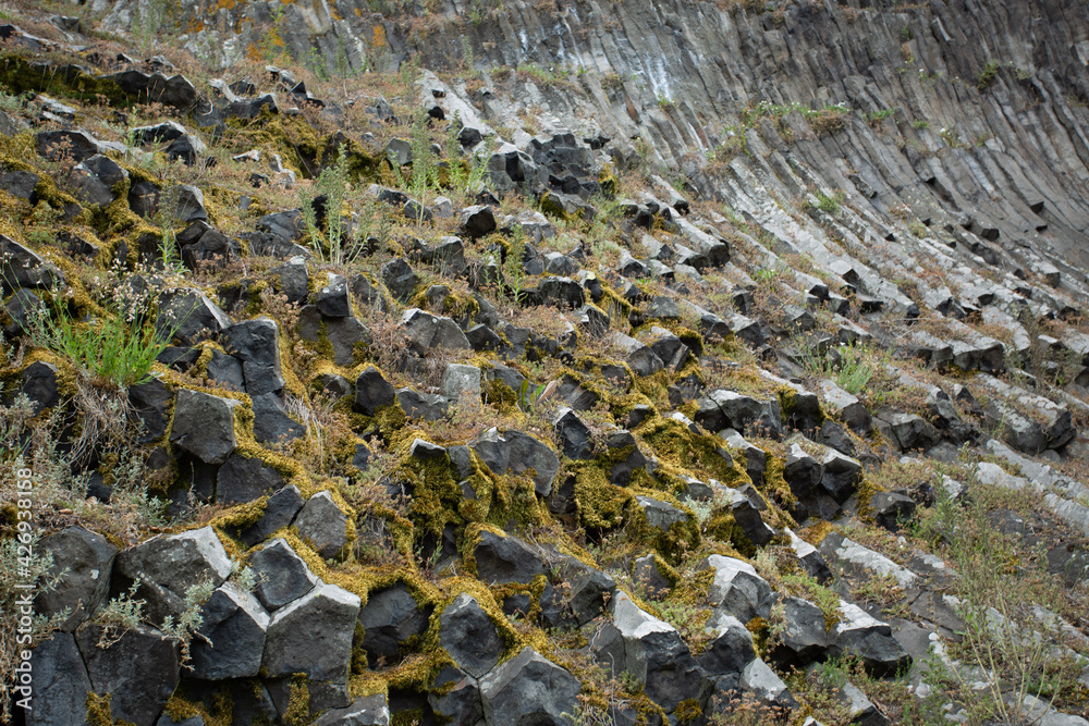 lichen on rock Stock Photo | Adobe Stock