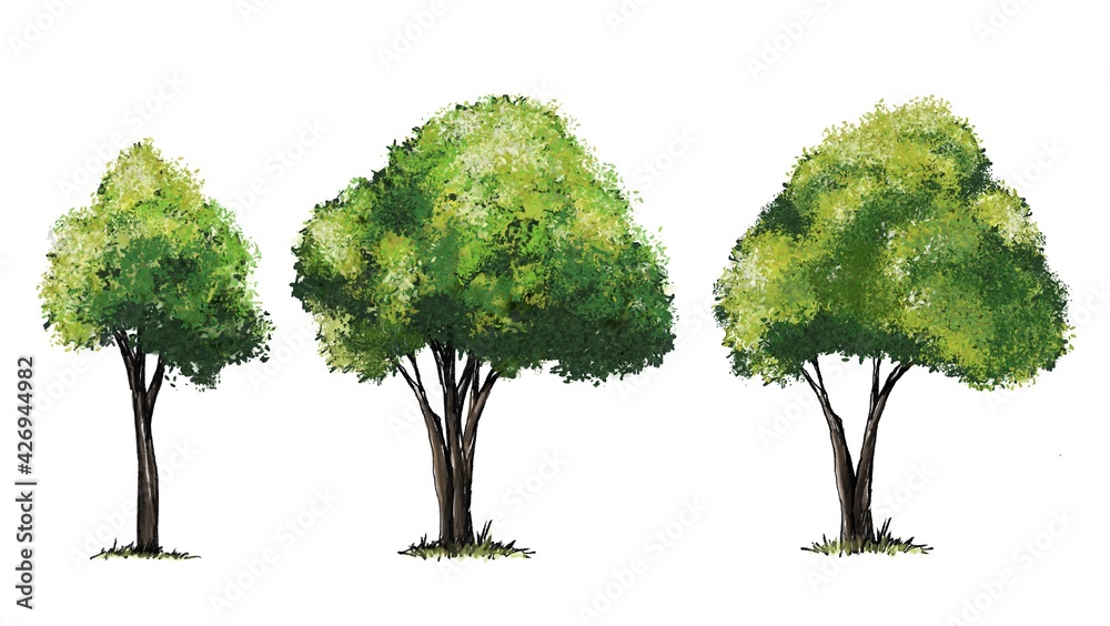 Abstract Watercolor Tree