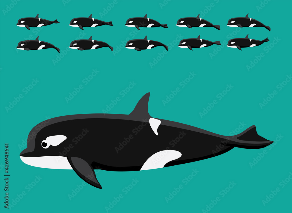 Animal Animation Orca Cartoon Vector Sequence Frame Stock Vector ...