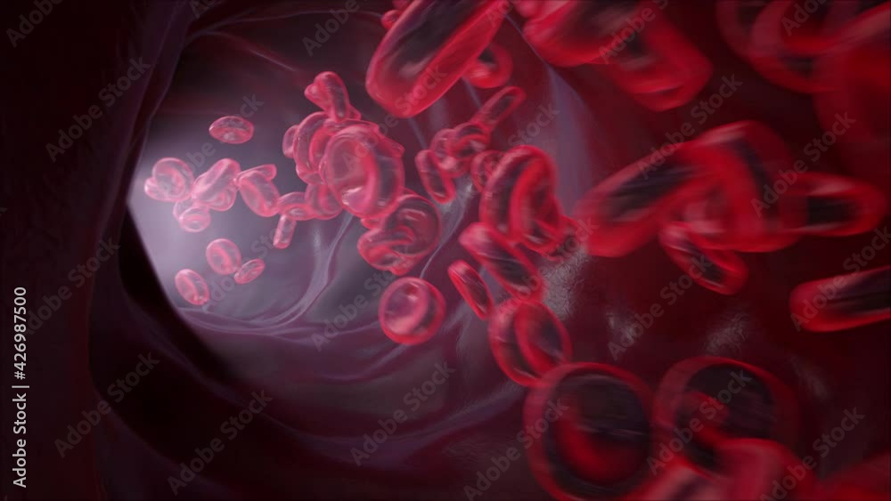 Bloodstream, Red blood cells, erythrocytes, in a blood vessel, artery ...