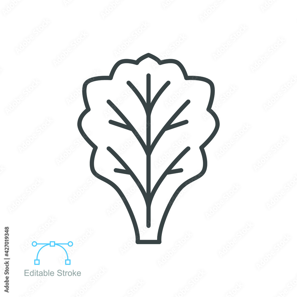 lettuce icon. Salad sign. Organic Leaf Lettuce vegetable logo of ...