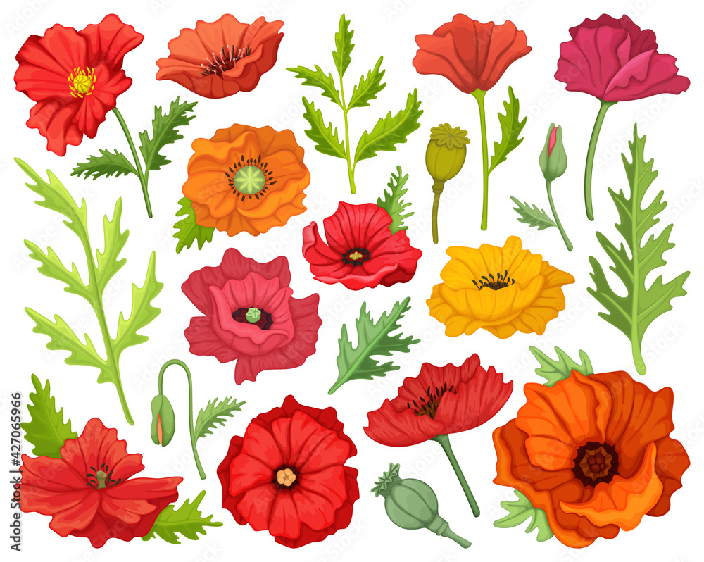 Poppy flower vector cartoon icon set . Collection vector illustration ...