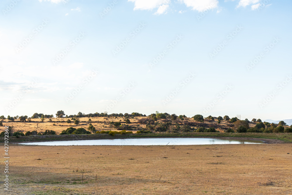 Paisajes de una pradera con un pequeño lago al centro y árboles al ...