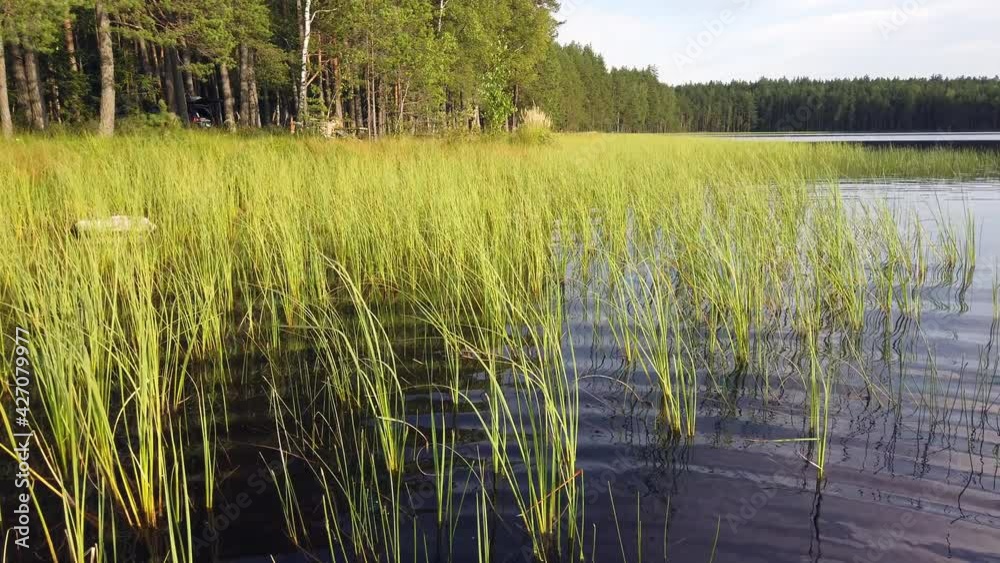 Cesis, Latvia - July 30, 2018: camping at the lake, POV 4k footage ...