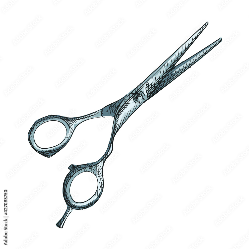 Watercolor Hand drawn sketch of Hair Cutting Shears on a white ...