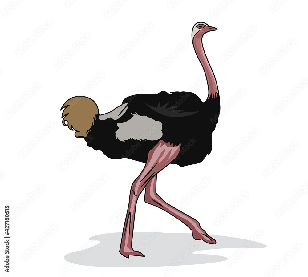 Running Ostrich Meme