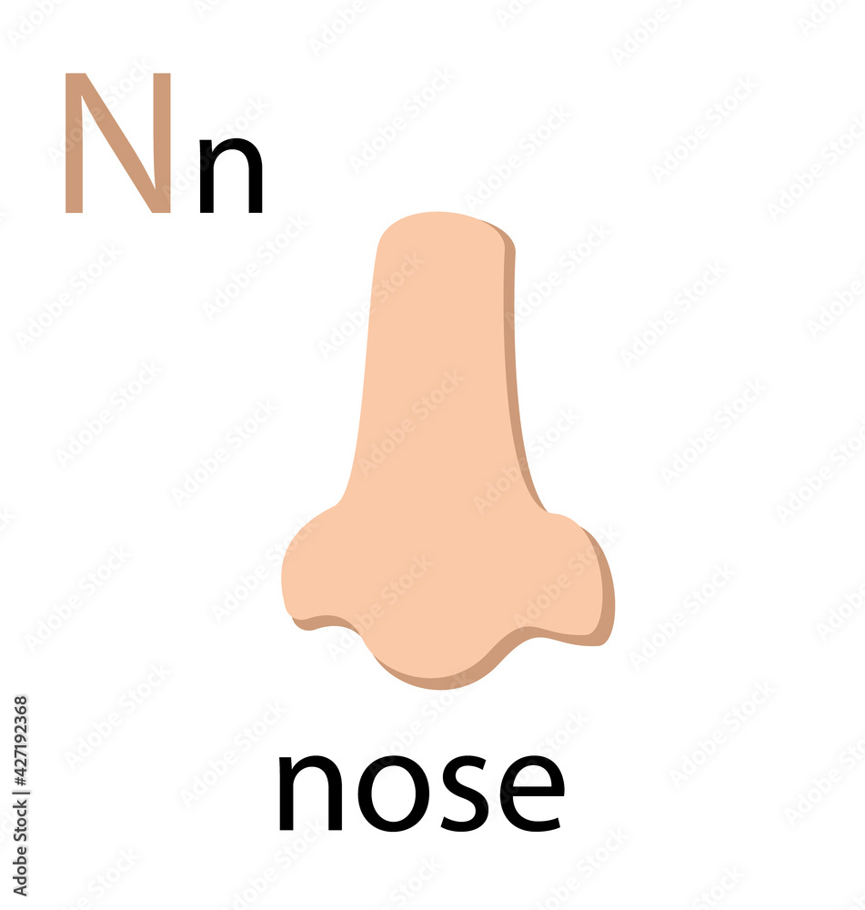 Cute and colorful alphabet letter with illustrations and words ...