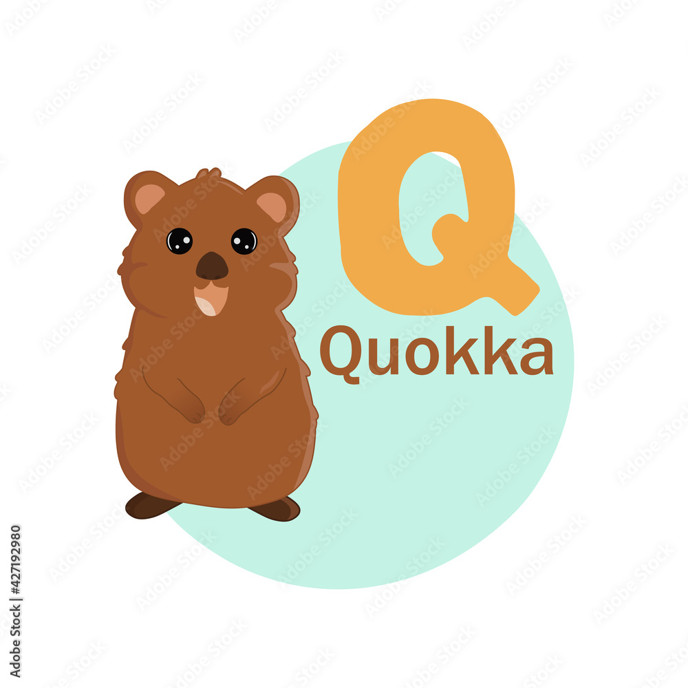 Animals alphabet. Cute quokka isolated on white background. Vector ...