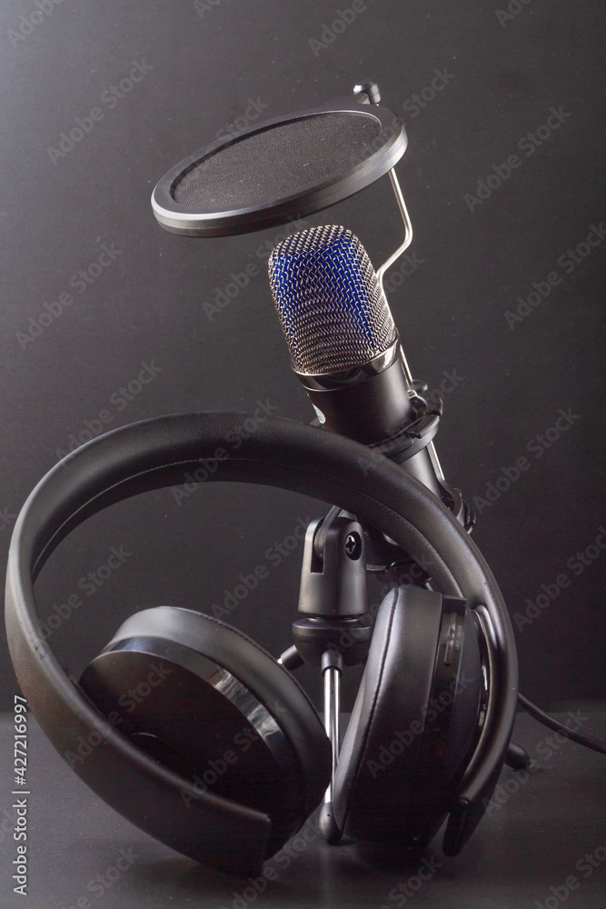 Concept of communication medium, radio. Microphone with anti-wind ...