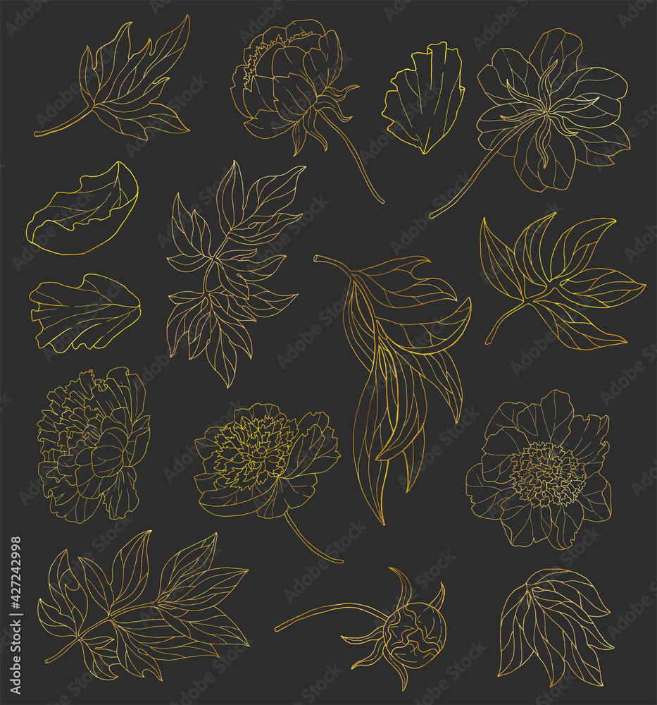 Design set with gold line art drawing of beautiful peony flowers and ...