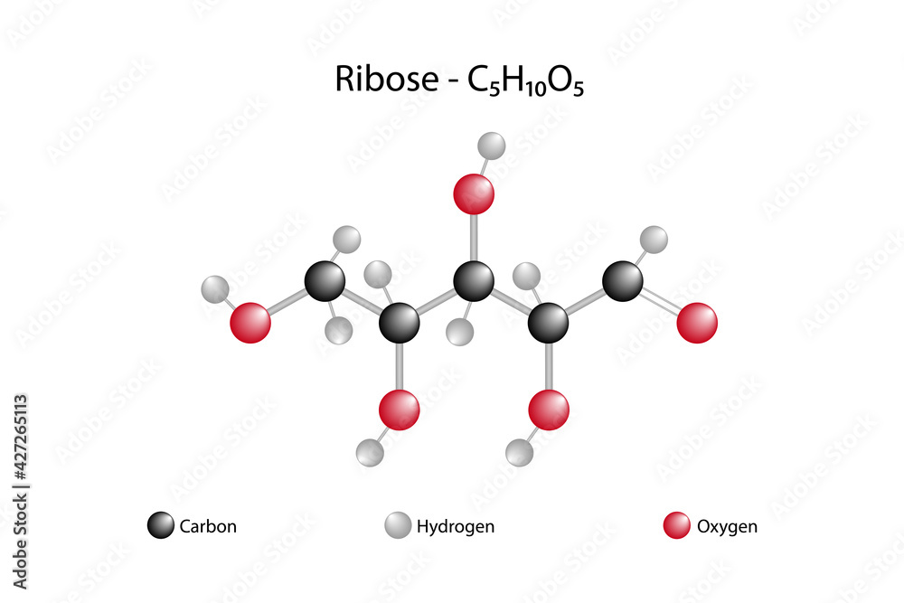 Molecular Structure Of Ribose Chemical Formula Of Ribose