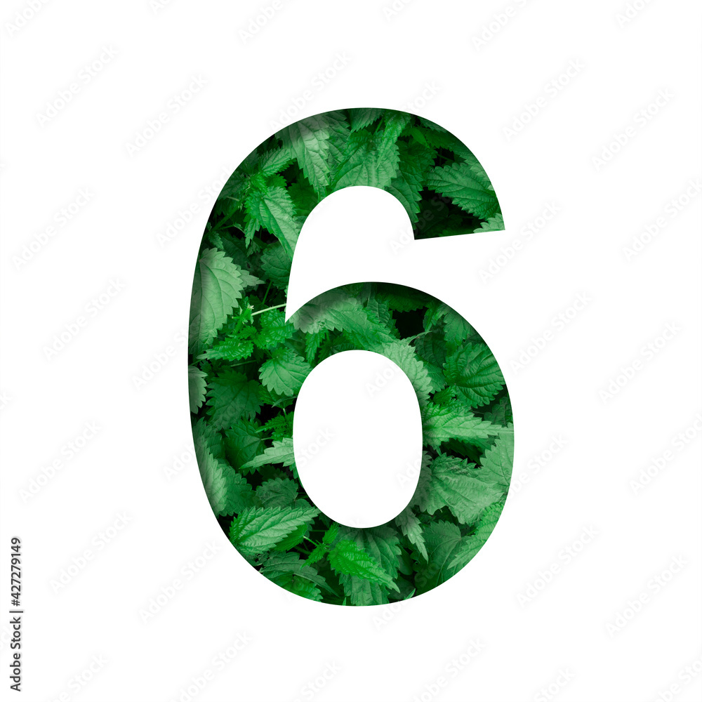 Font made of leaves, digit six, 6, cut out of paper on a background of ...