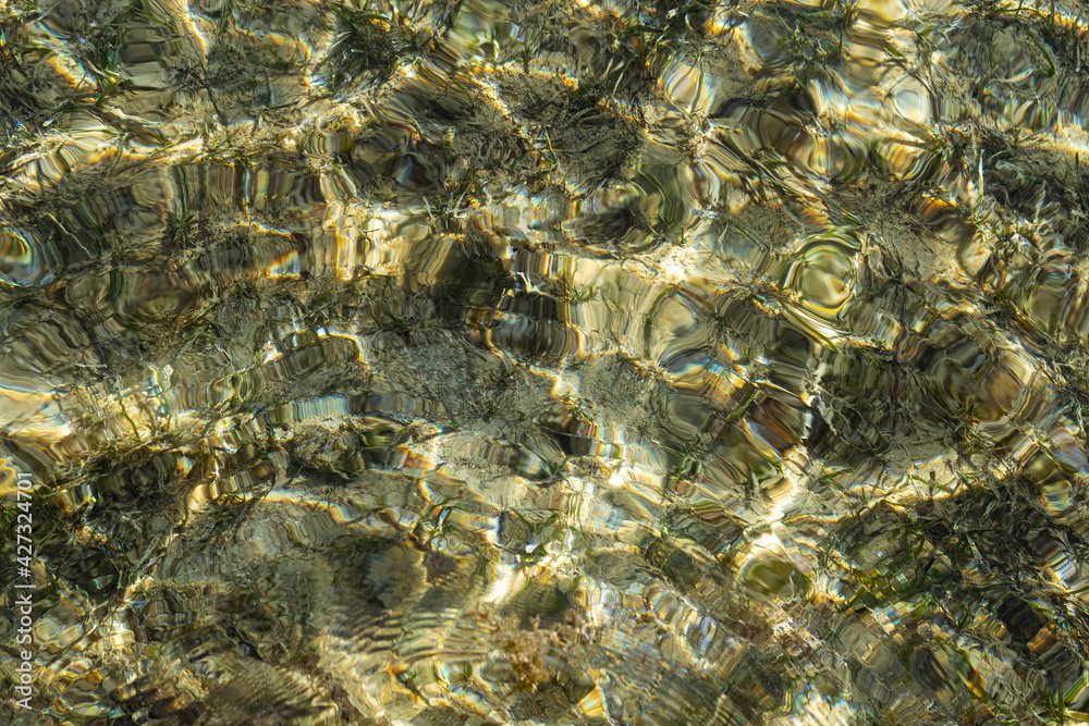 The snowflake moray (Echidna nebulosa) also known as the clouded moray ...