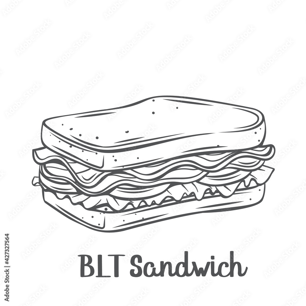 BLT sandwich with bacon, lettuce and tomato drawn outline vector ...