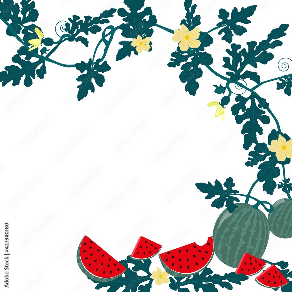 Summer watermelon border, frame or background template. Fresh and juicy ...