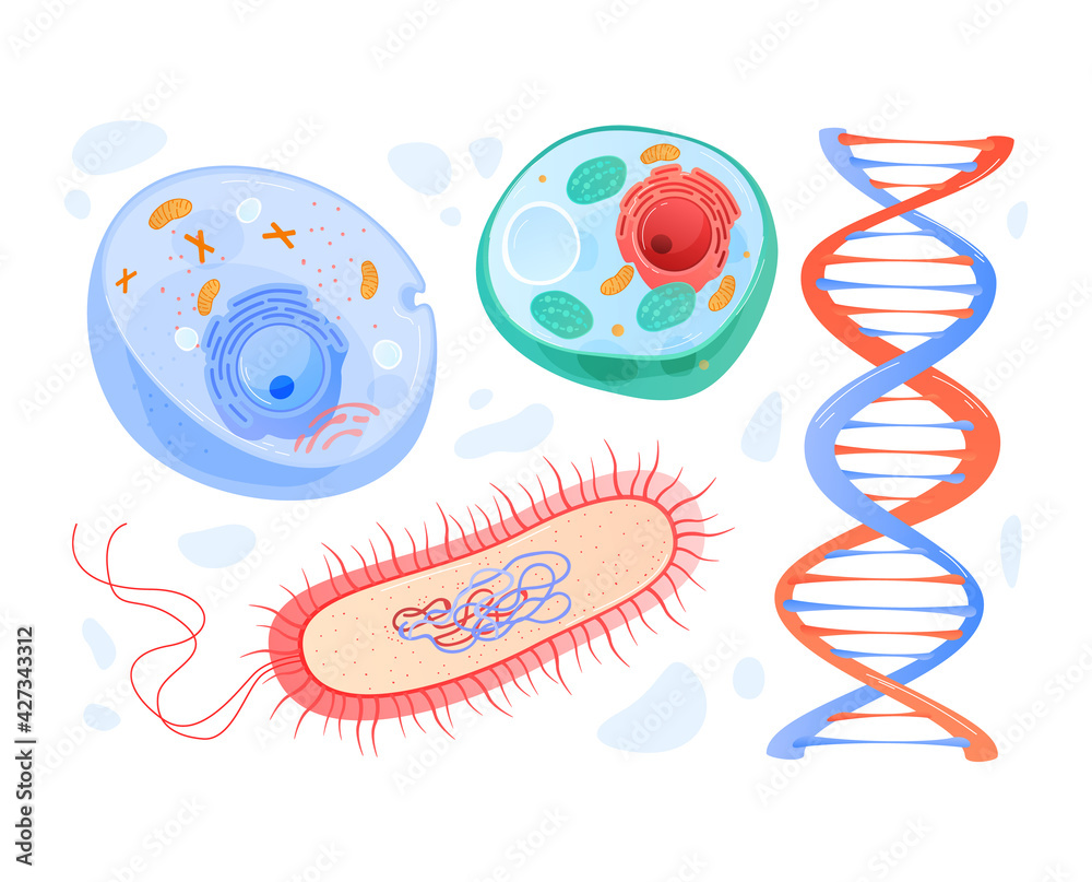 Human Dna Under Microscope