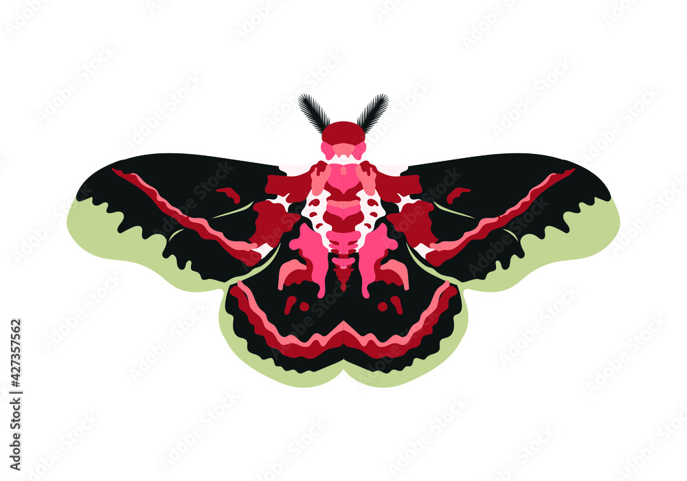 moth cartoon illustration. colorful insect illustrated in realistic ...