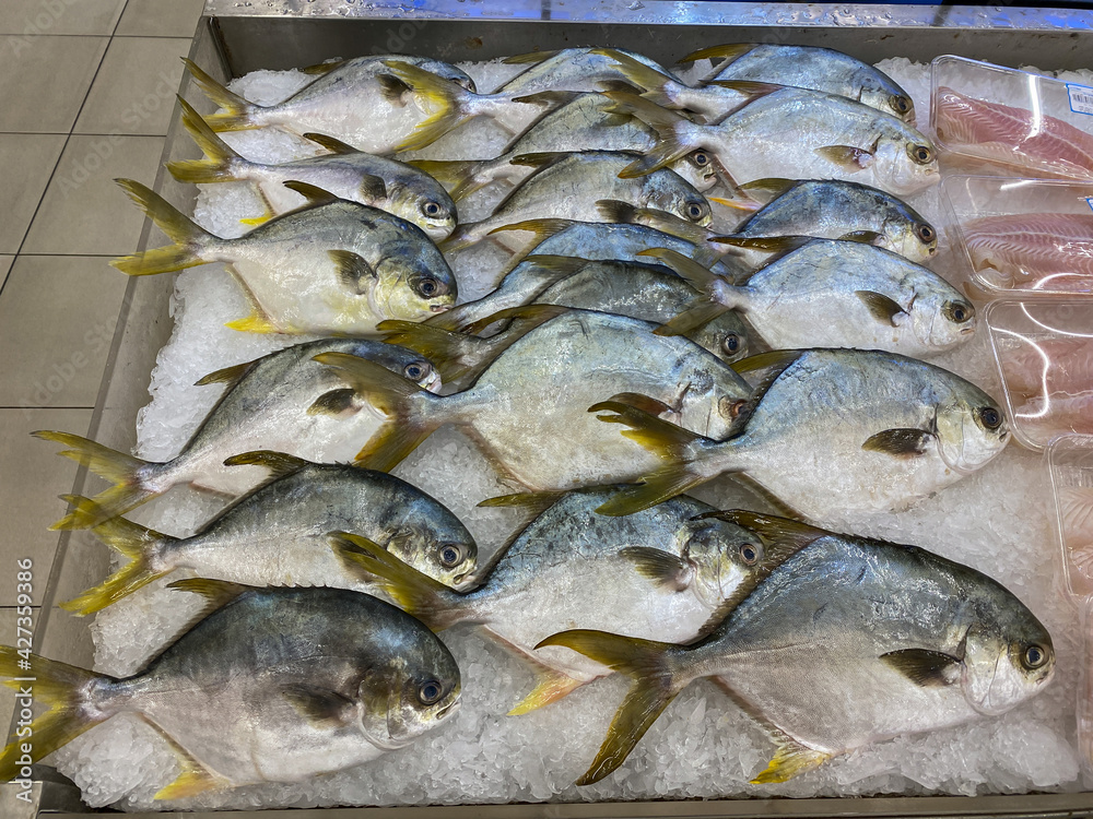 Pile of pampus argenteus fish on frozen ice at fish market Stock Photo ...