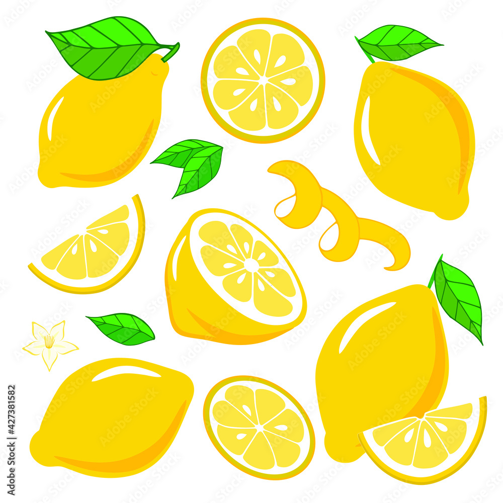 Cartoon Lemon Illustration set of whole, cut in half, sliced on pieces ...