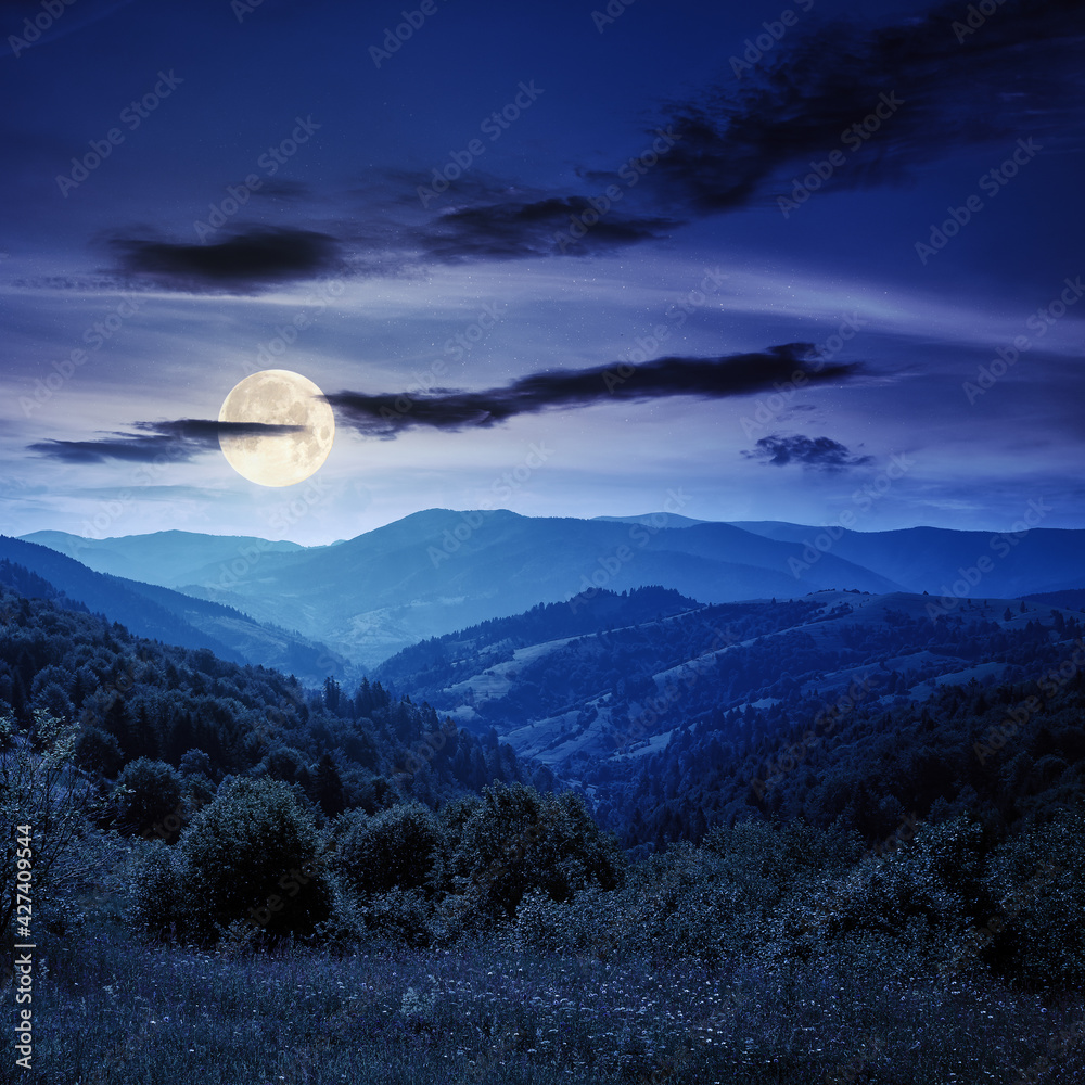 Beautiful Nature Scenery 1080p Hd