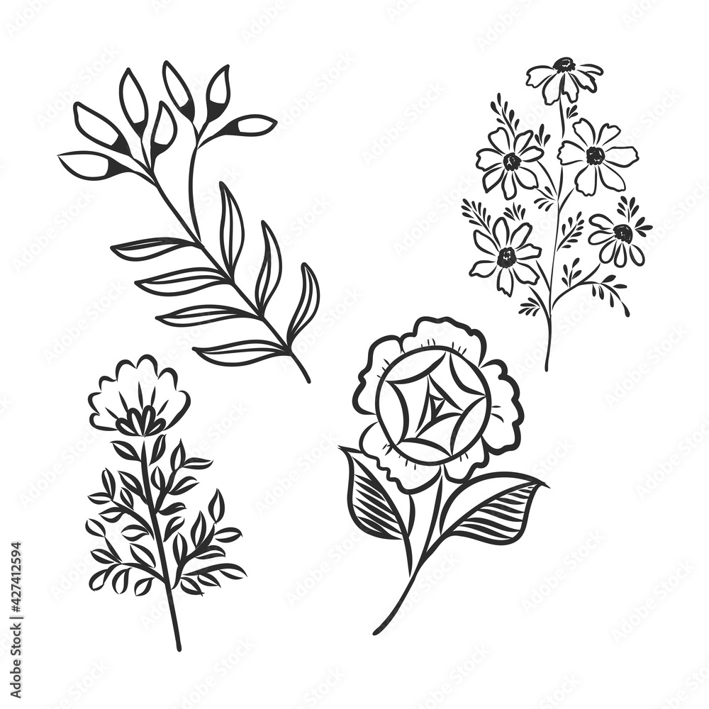 Ink, pencil, the leaves and flowers of apple isolated. Line art ...