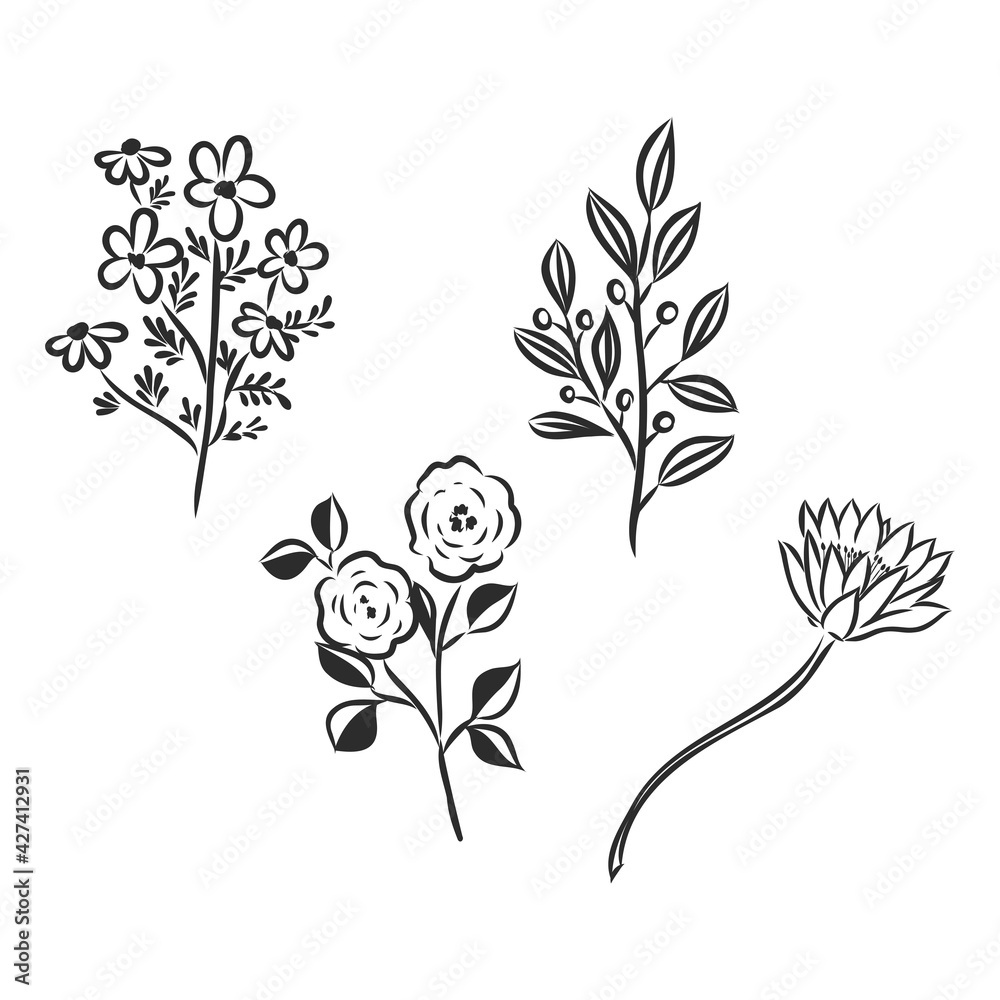 Ink, pencil, the leaves and flowers of apple isolated. Line art ...