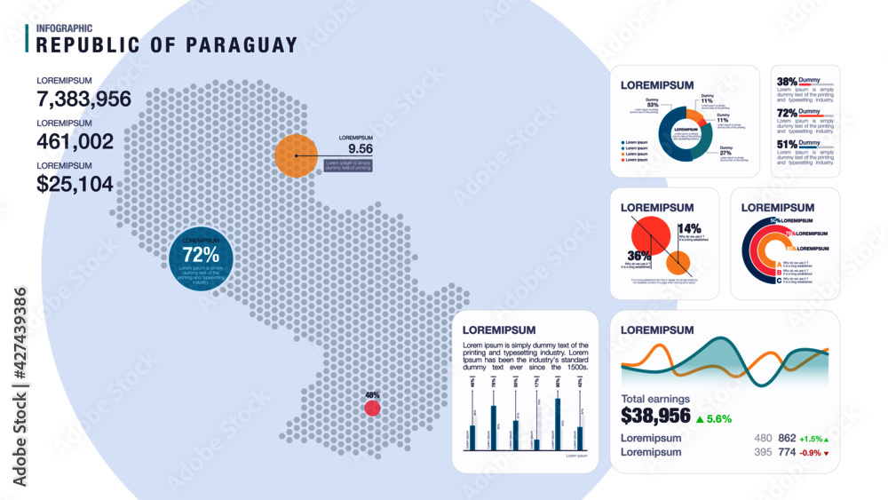 Detail infographic vector illustration. Map of Paraguay and Infographic ...