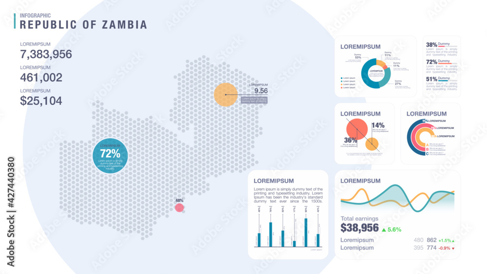Detail infographic vector illustration. Map of Zambia and Infographic ...