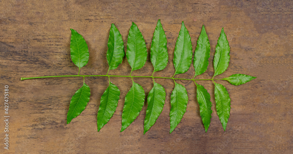 neem leaf on wooden background, neem is an excellent moisturizing and ...