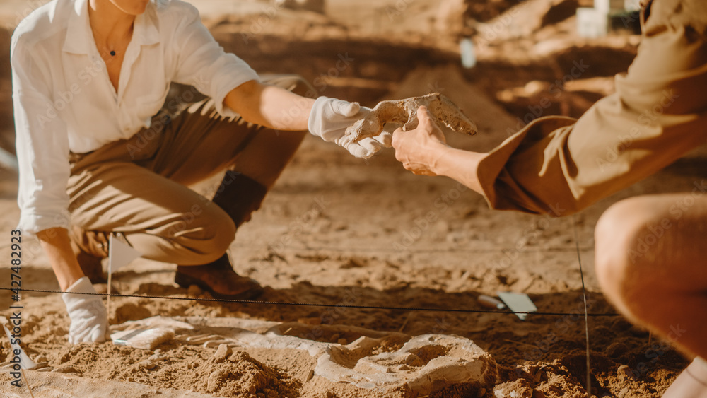 Archaeological Digging Site: Two Great Paleontologists Pass Bone of a ...