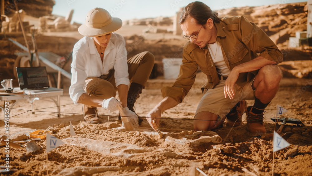 Archaeological Digging Site: Two Great Paleontologists Cleaning Newly ...