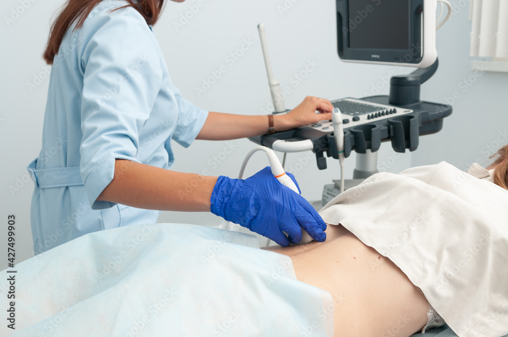 Ultrasound examination of kidneys. Diagnostics of the lower back with ...