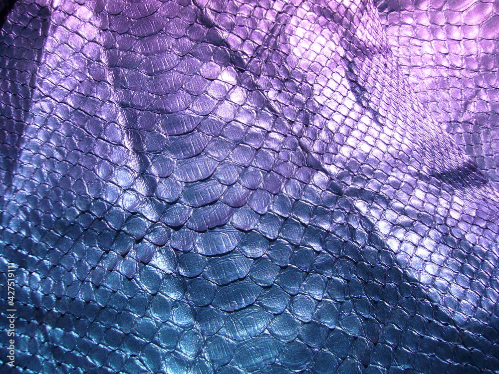 Purple python skin, snake. Natural leather texture. Stock Photo | Adobe ...