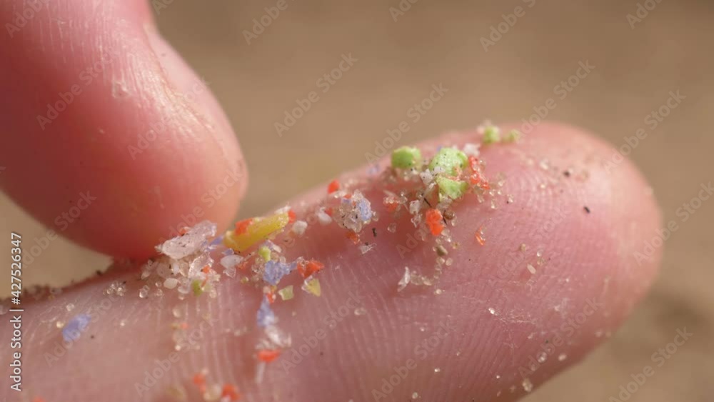 pieces of microplastic on the finger. primary and secondary ...