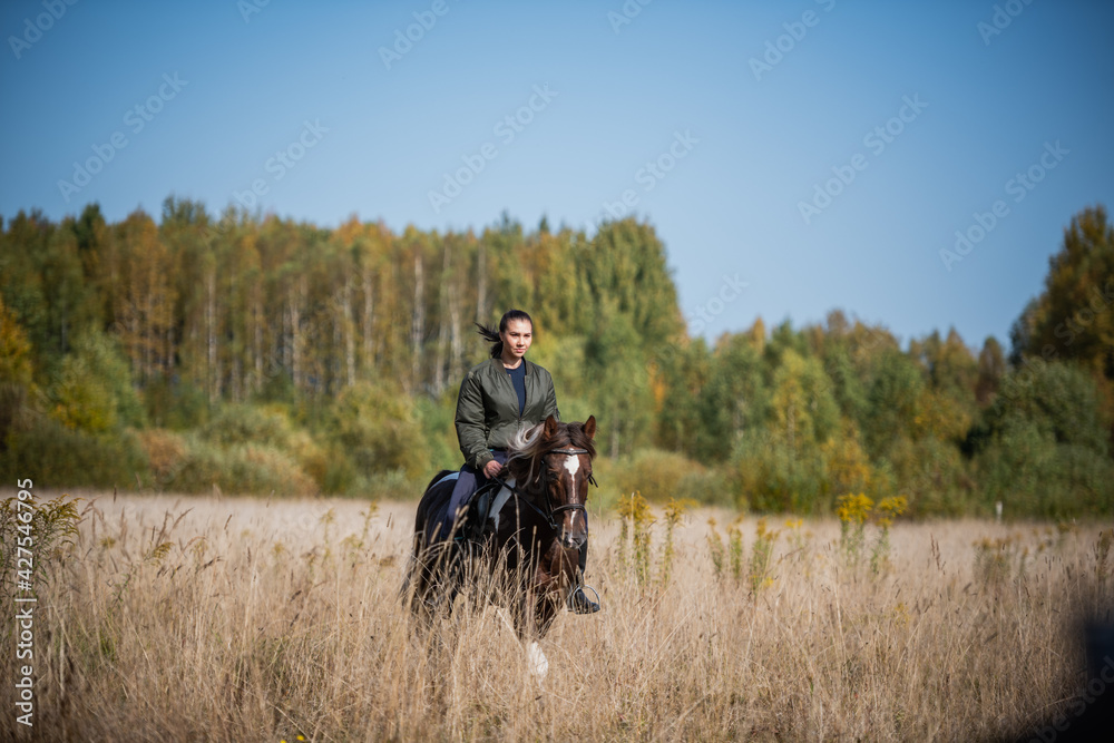 Cute girl equestrian instructor rides a horse in an equestrian club ...