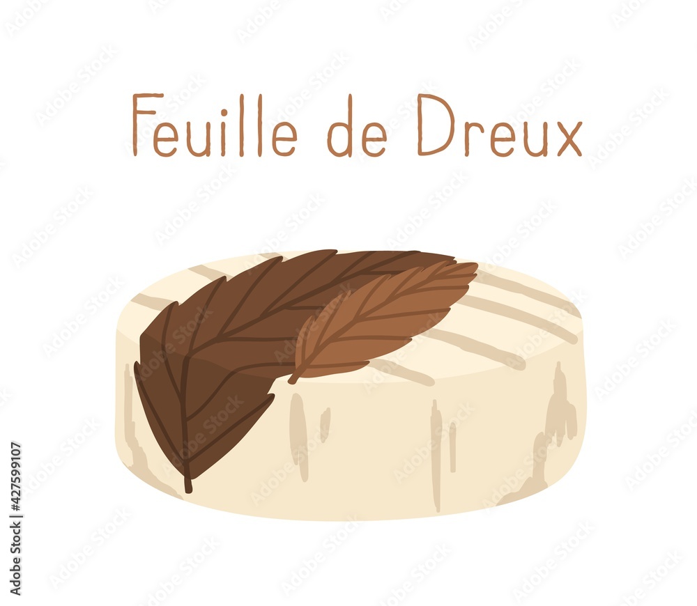 French cheese wheel of Feuille de Dreux decorated with chestnut leaf ...