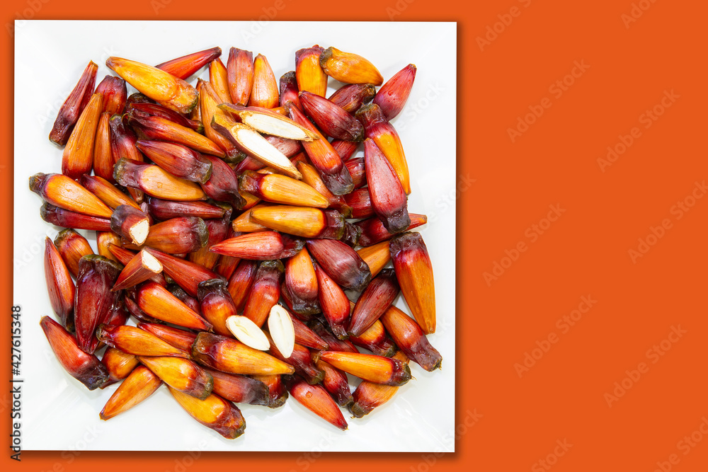Natural pinion nut, fruit of the Araucária angustifolia tree (Pinheiro ...