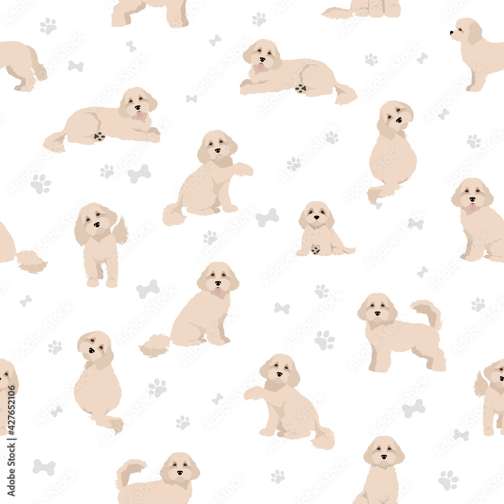 Cavapoo mix breed seamless pattern. Different poses, coat colors set ...